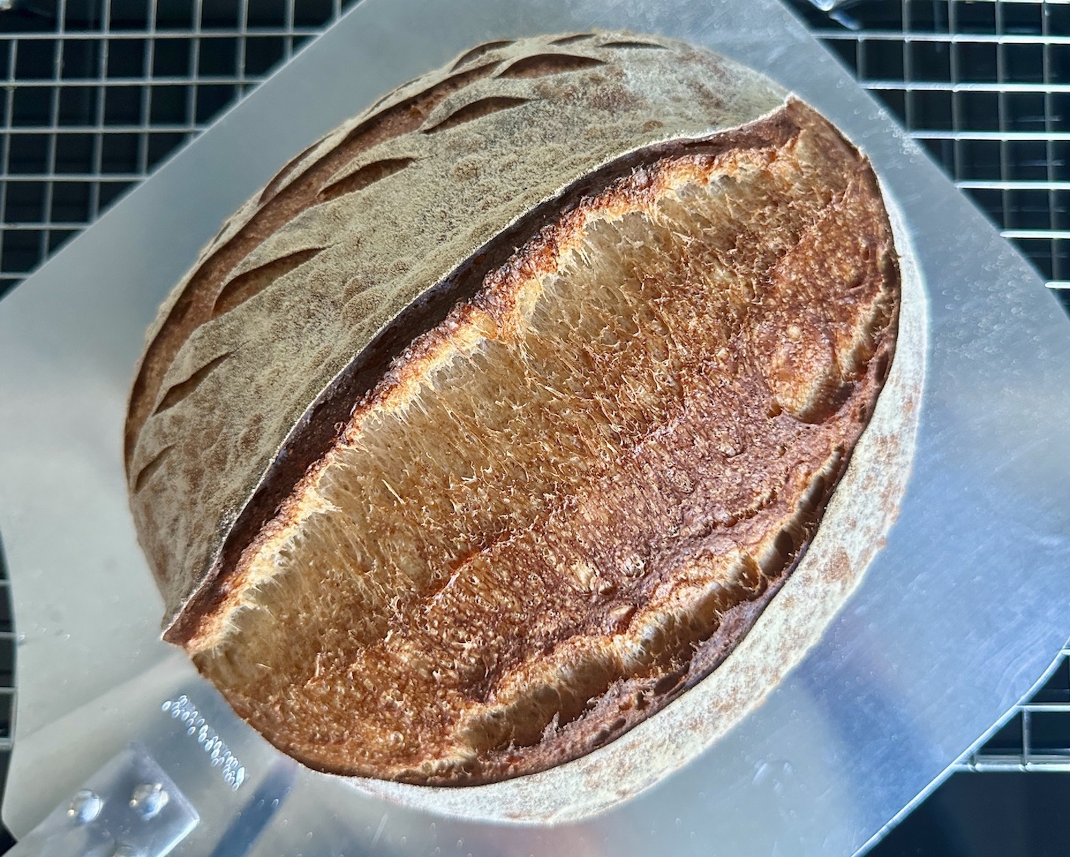 Surdeigsbrød med emmer og hvete – Henriettes matblogg